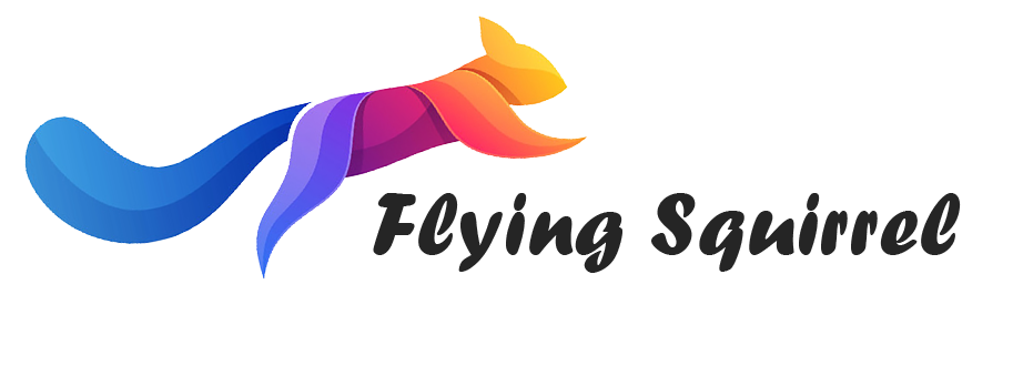 Flying Squirrel | Outsource Accelerator