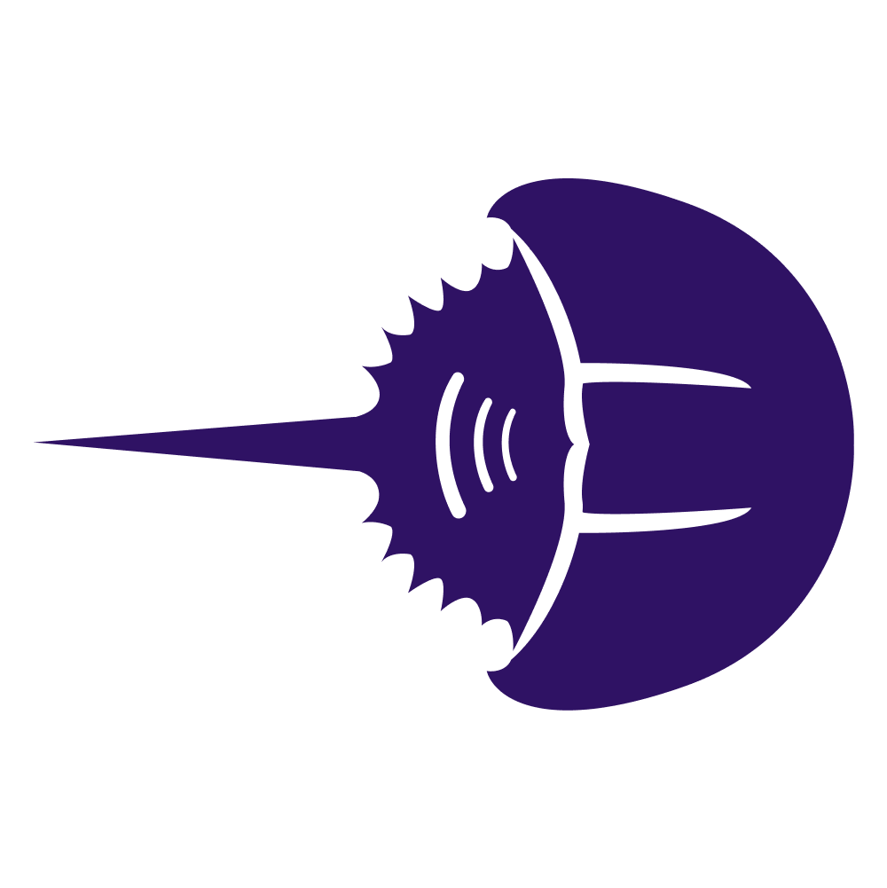 Cambria Software | Outsource Accelerator