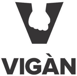 Vigan Solutions | Outsource Accelerator