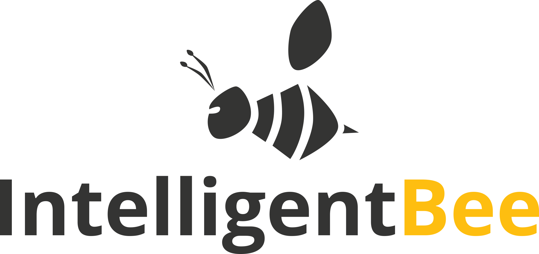 IntelligentBee | Outsource Accelerator