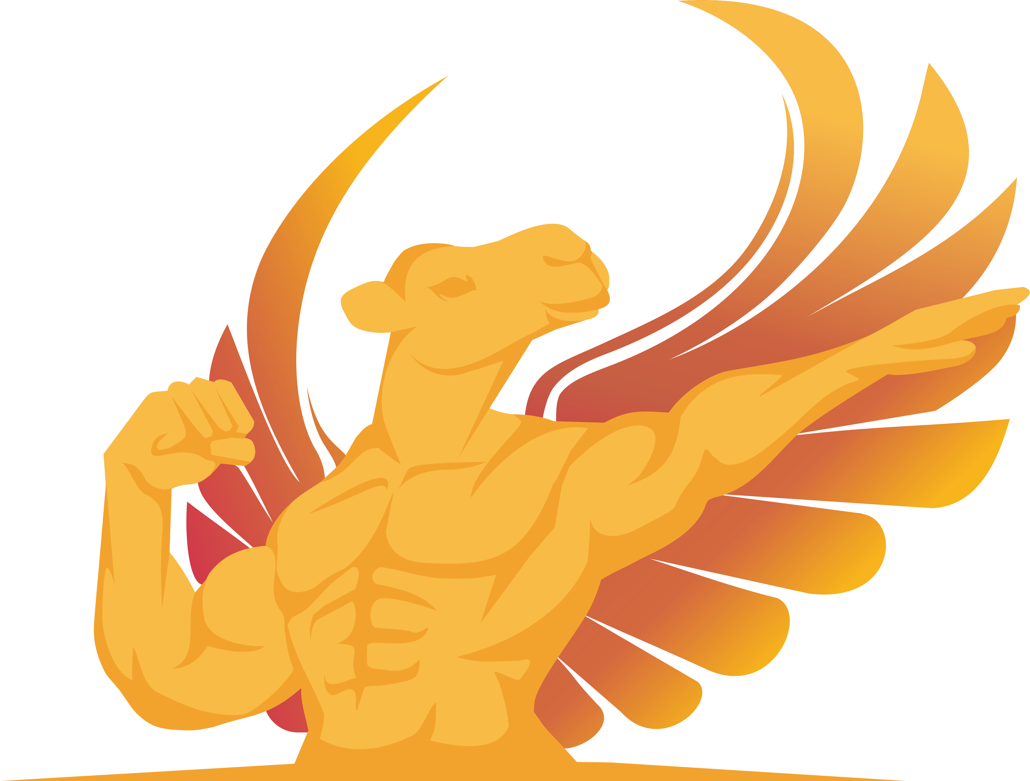 Kamel BPO | Outsource Accelerator