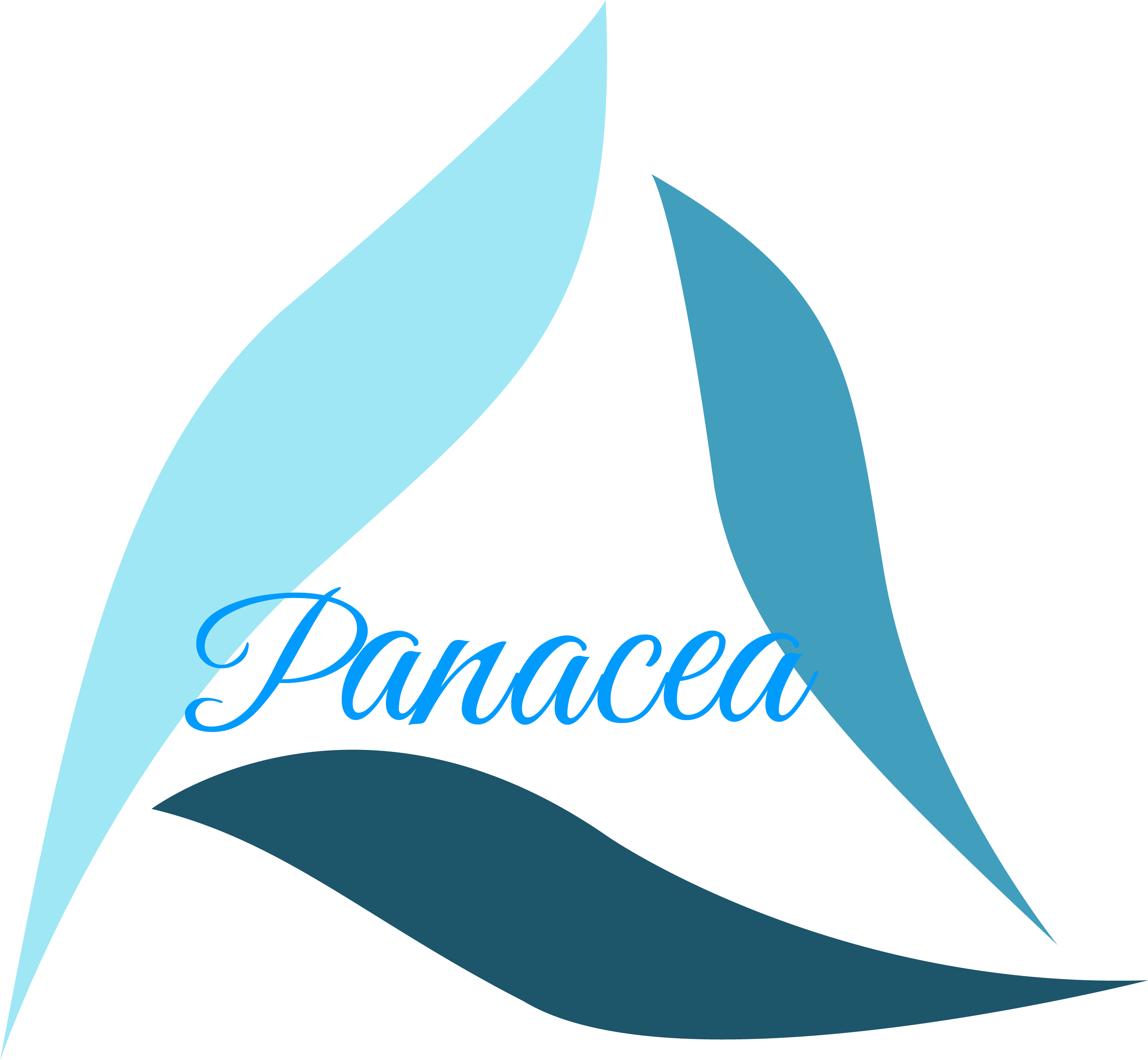 Panacea Solution Nepal | Outsource Accelerator