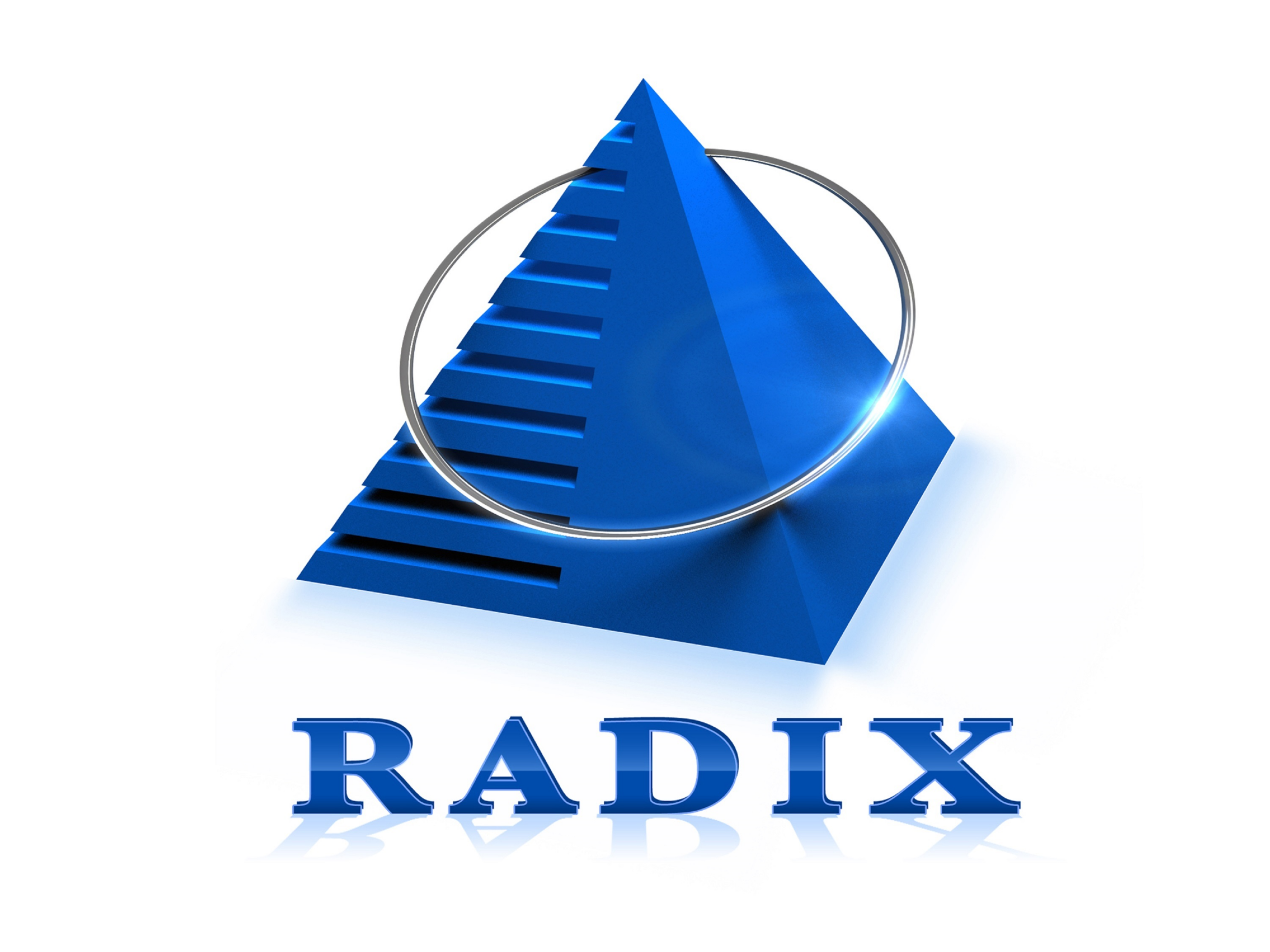 Radixweb | Outsource Accelerator