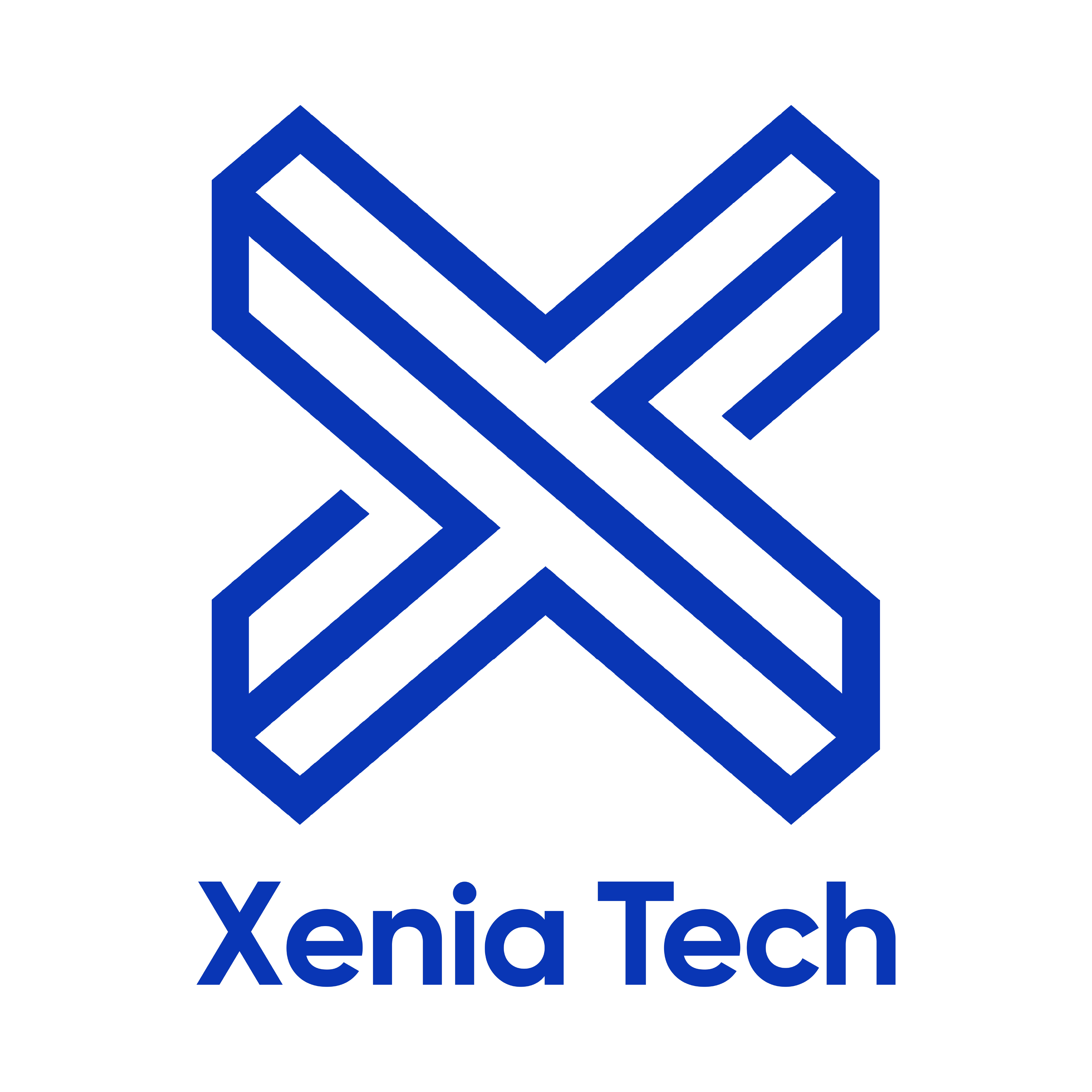 Xenia Tech | Outsource Accelerator